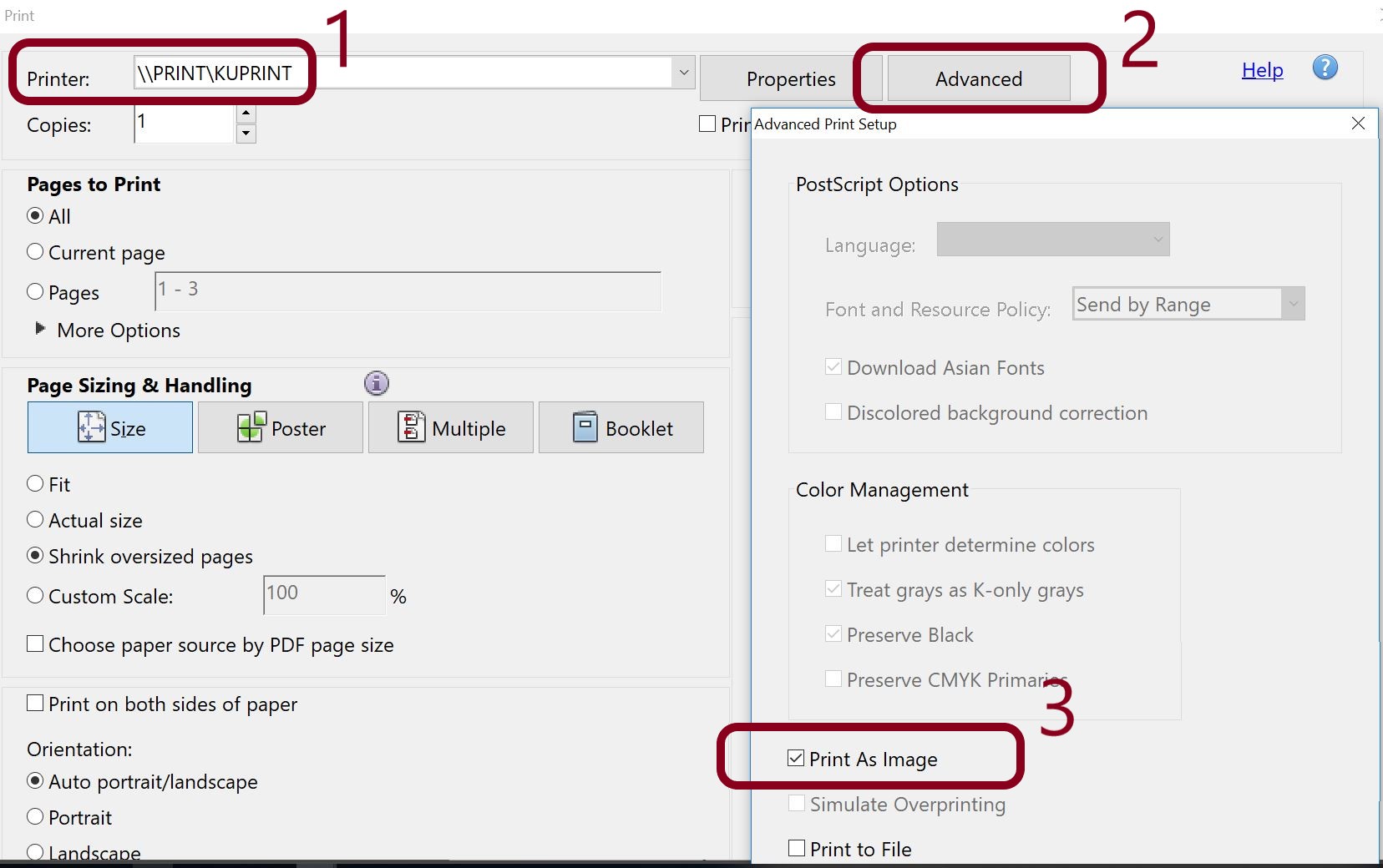 Quick Fix, Print PDF document