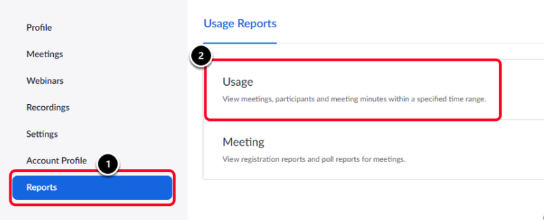 Zoom: Attendance Report